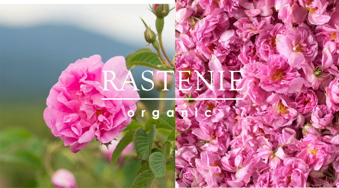 RASTENIE ラステニエ 公式オンラインストア – RASTENIE｜ラステニエ 公式オンラインストア